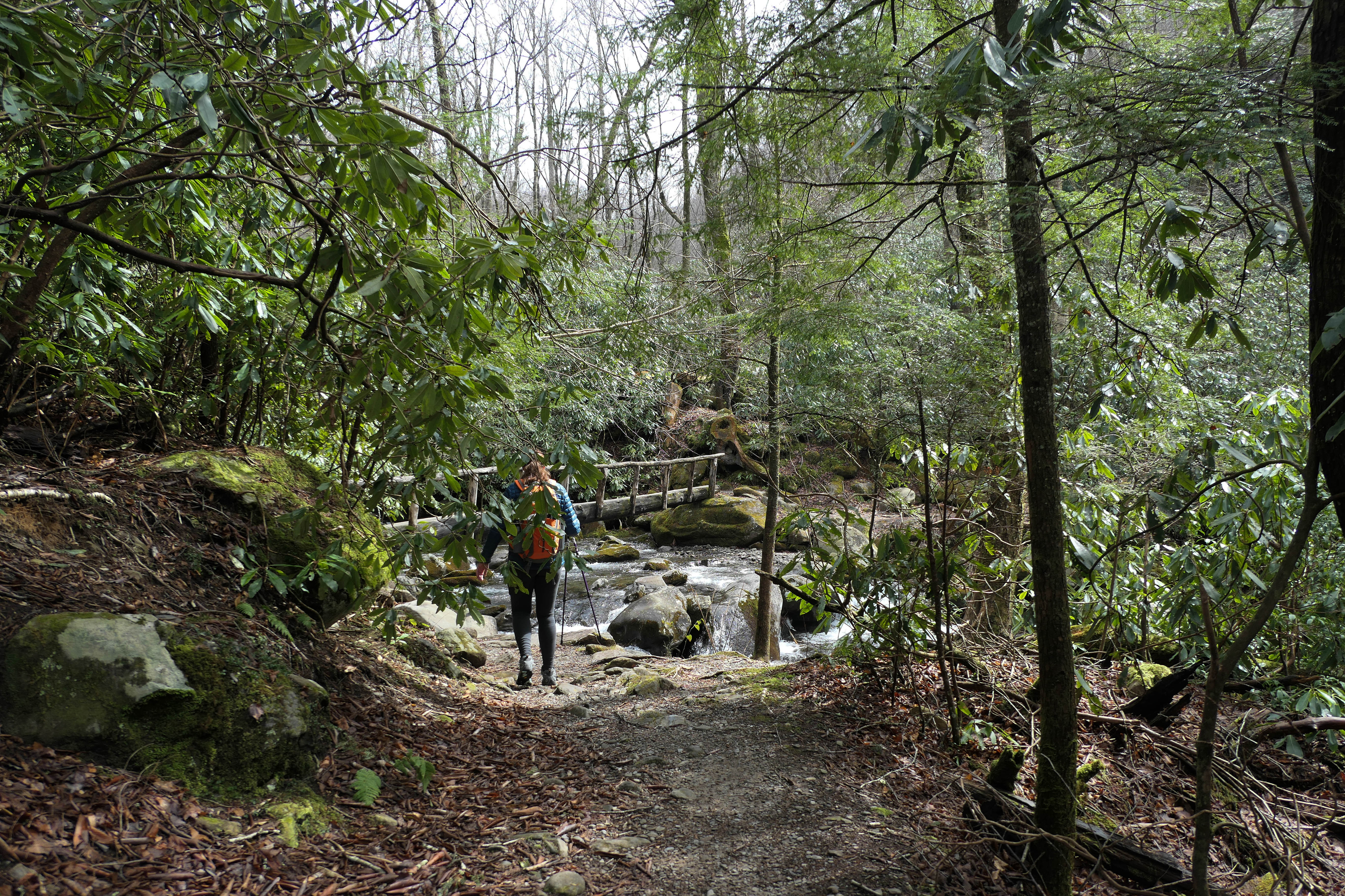 Support from Amazon Web Service helps researchers prototype a flood ...